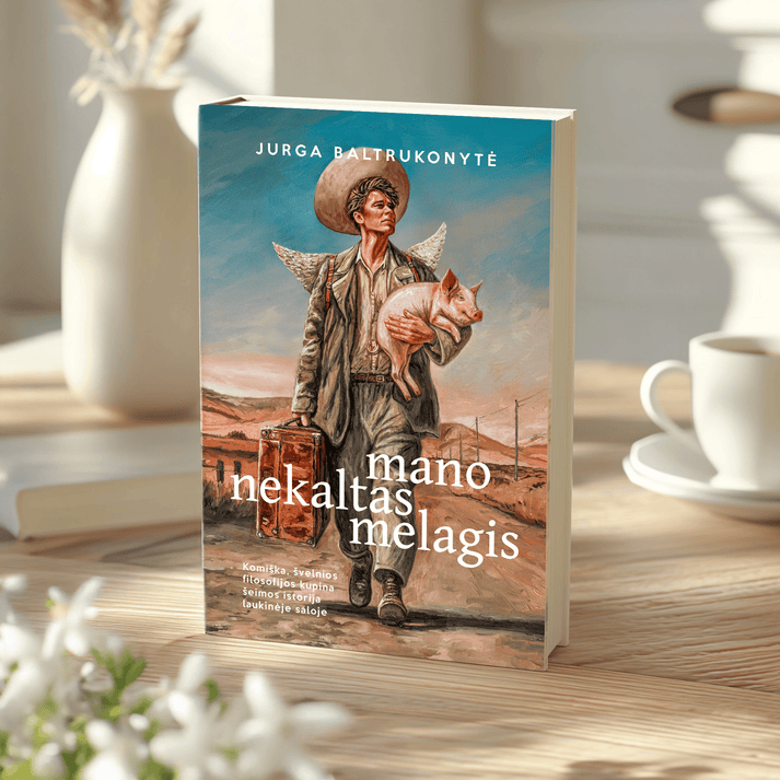 Romanas "Mano nekaltas melagis” Jurga Baltrukonytė – HAPPY365